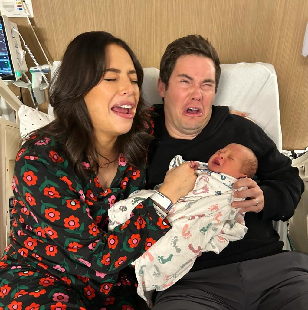 What Is Adam DeVine Net Worth? His Earning Sources 2024 - CEOColumn