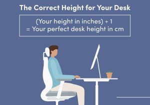 Desk Height: Ideal Measurements for Comfort and Productivity - CEOColumn