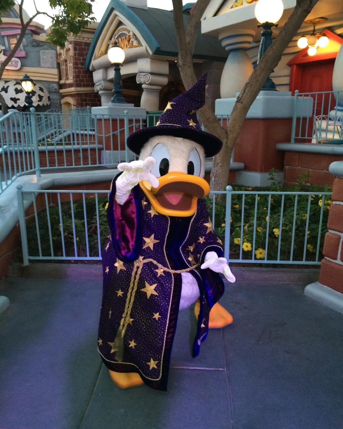 Donald Duck Birthday: Date, Meaning & Fun Facts - CEOColumn