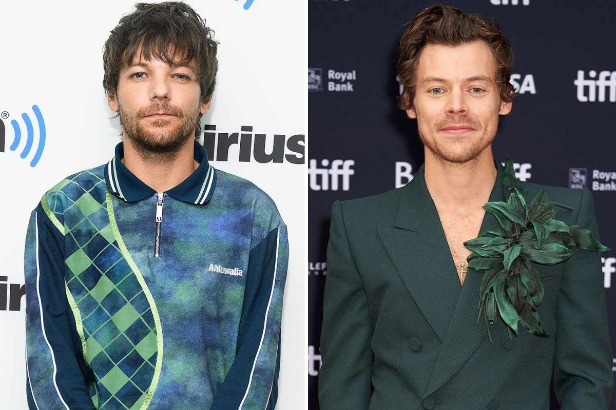 Harry Styles and Louis Tomlinson: The Truth Revealed - CEOColumn